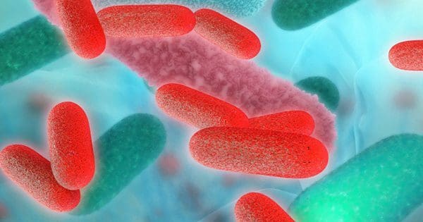 Can Gut Bacteria Unlock Rheumatoid Arthritis? - El Paso, TX Doctor Of ...