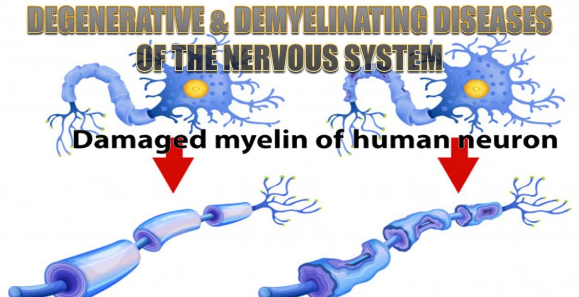 Degenerative And Demyelinating Diseases Of The Nervous System